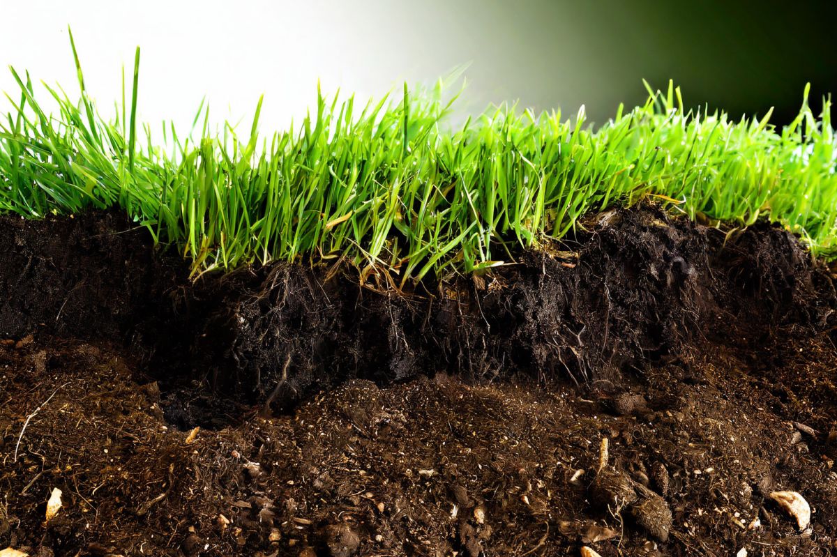 Extension announced for soil sampling programme